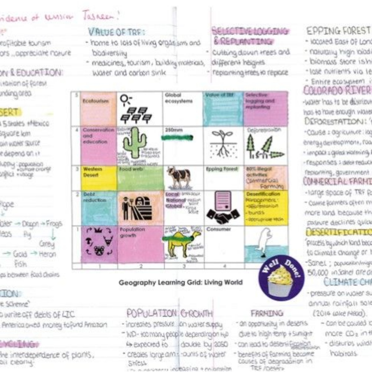 Bexley Grammar School - AMAZING YEAR 10 GEOGRAPHY WORK!