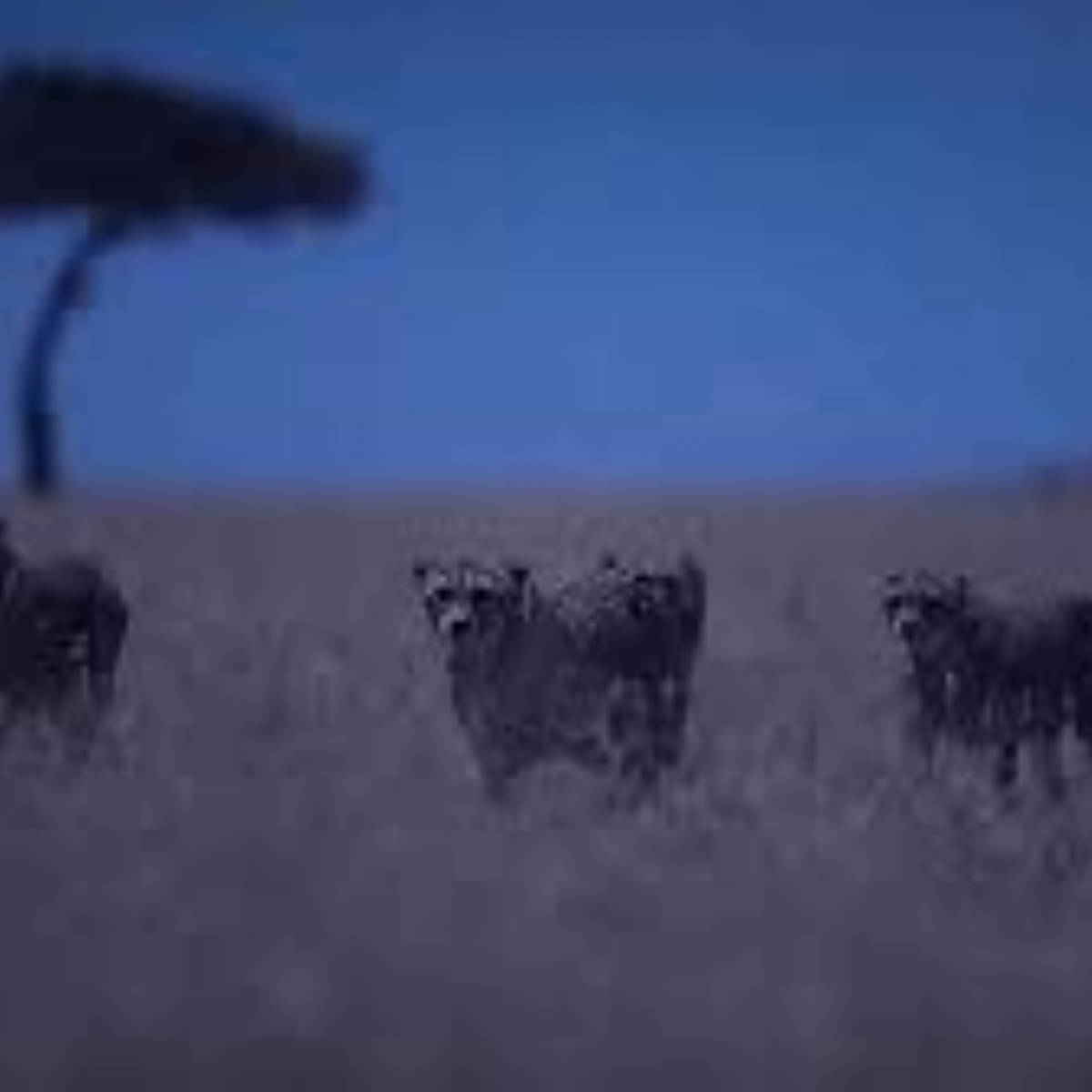 Bexley Grammar School - Night on Earth - Moonlit Plains (Netflix ...